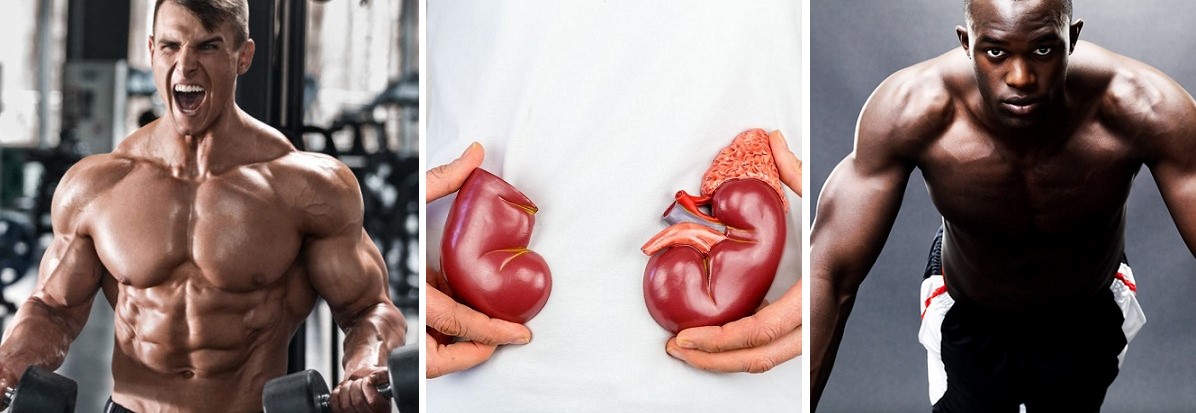 You Wanted to Know all About Deca-Durabolin Cycle - OxygenGym.org